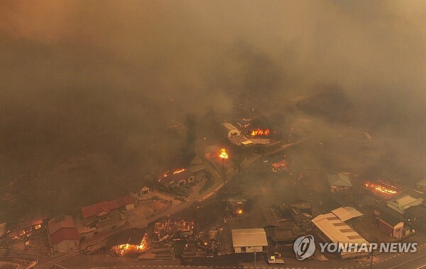 Seocheon Mourns Wildfire, Cancels Market Event
